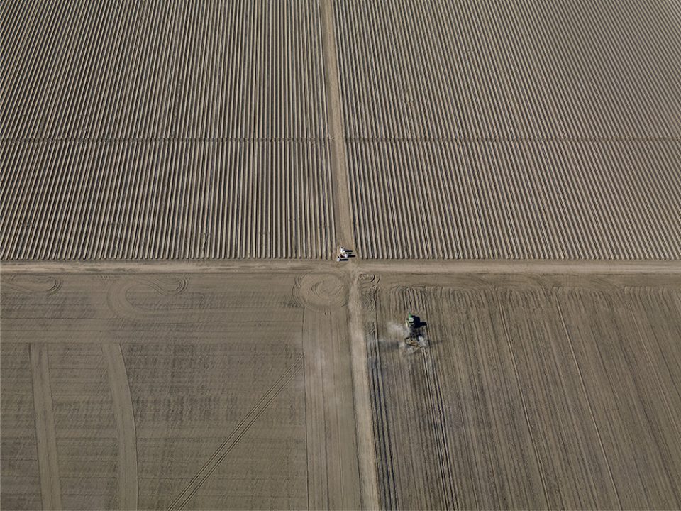 Bertrand-Burtynsky-Wolf : Patterns in photography - Art Pattern