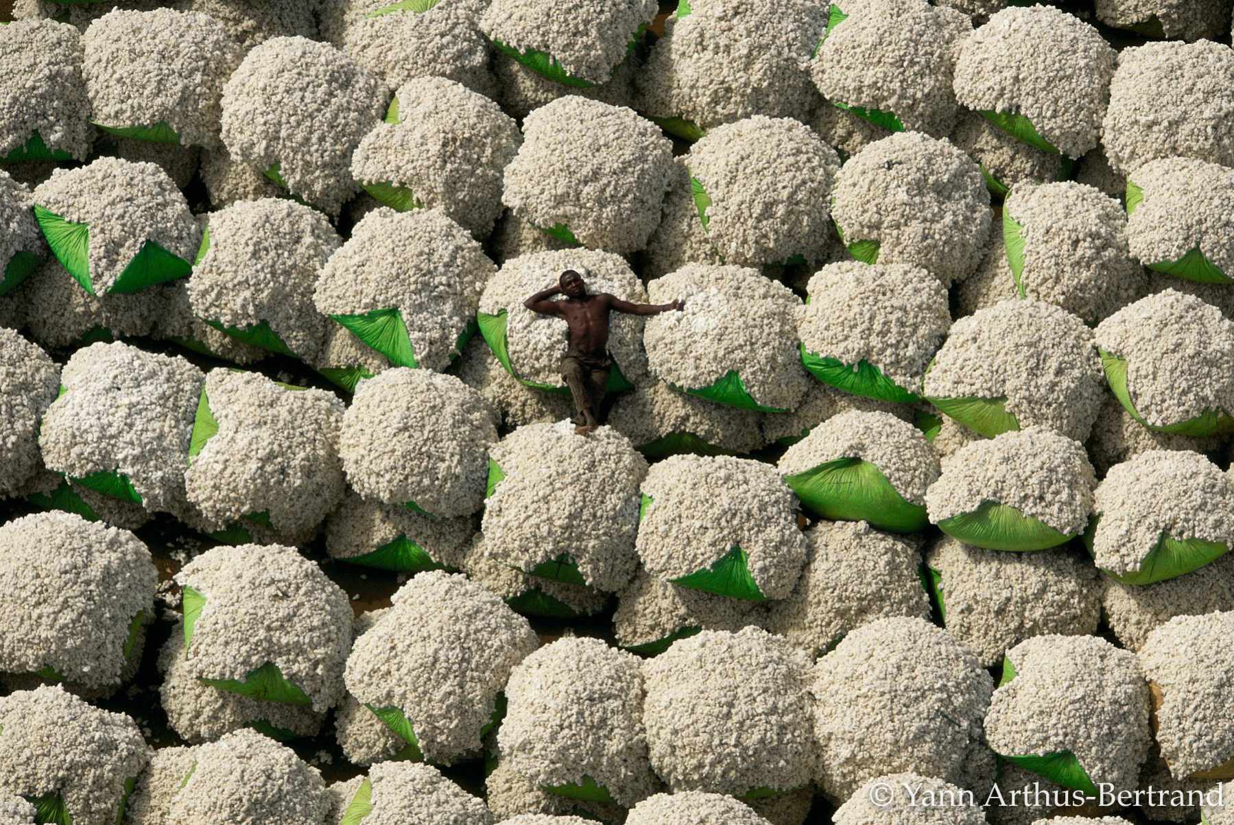 Bertrand-Burtynsky-Wolf : Patterns in photography - Art Pattern